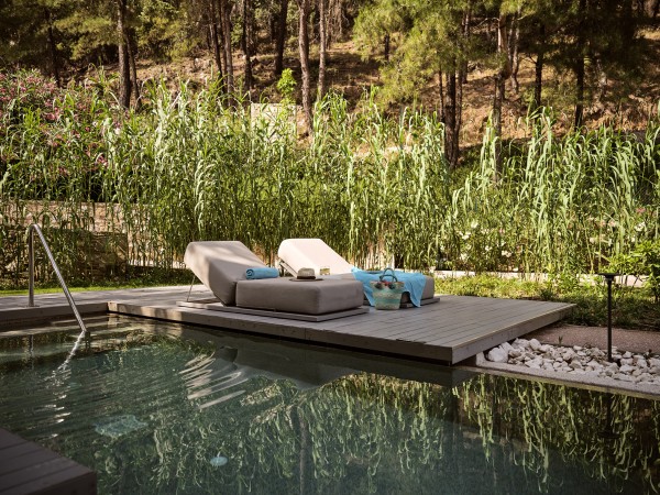 Two-room Suite Private Pool Forest View | Vathi Cove Luxury Hotel